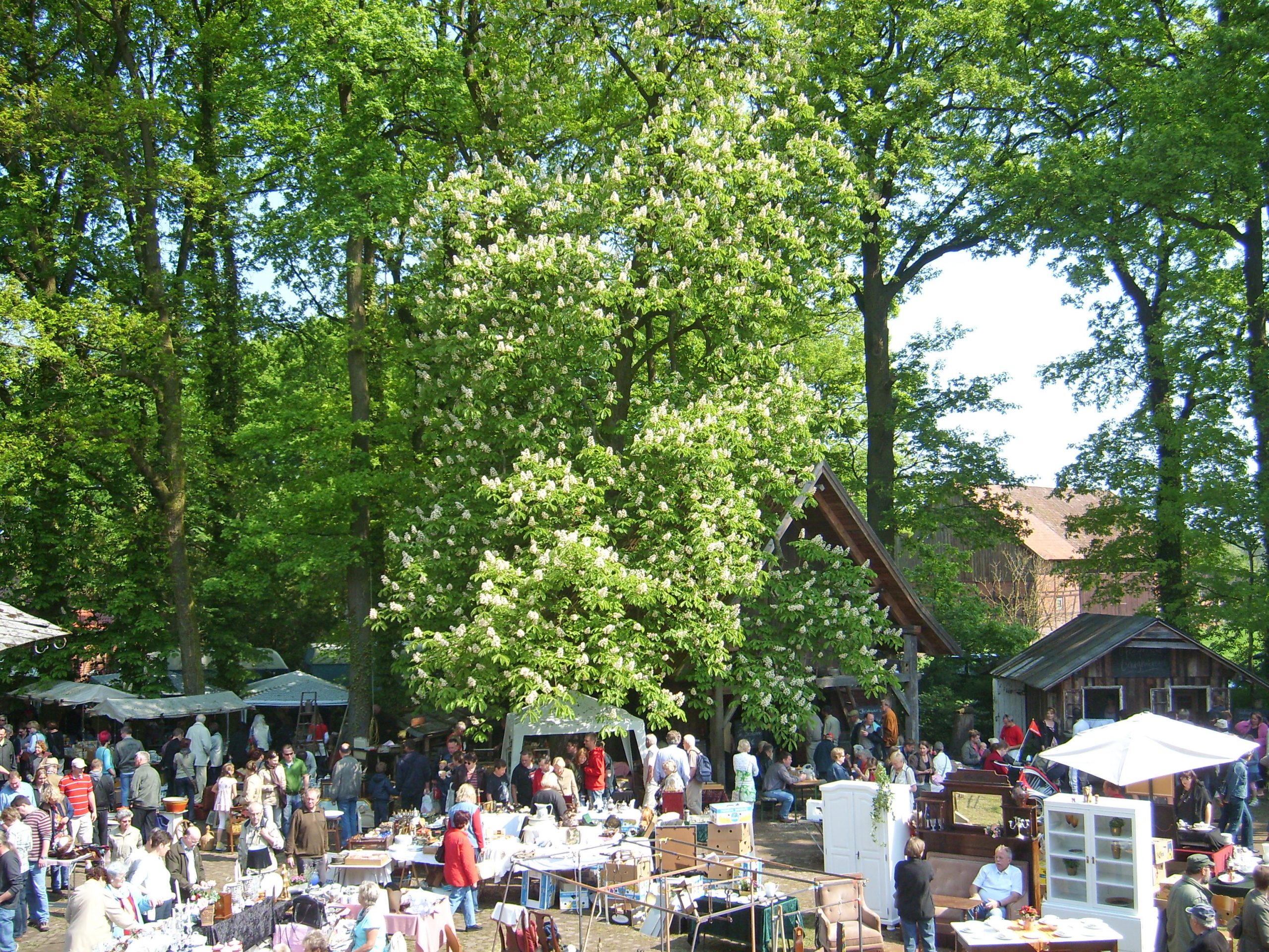Faszinierend Flohmarkt Auf Dem Findelhof Ebenbild